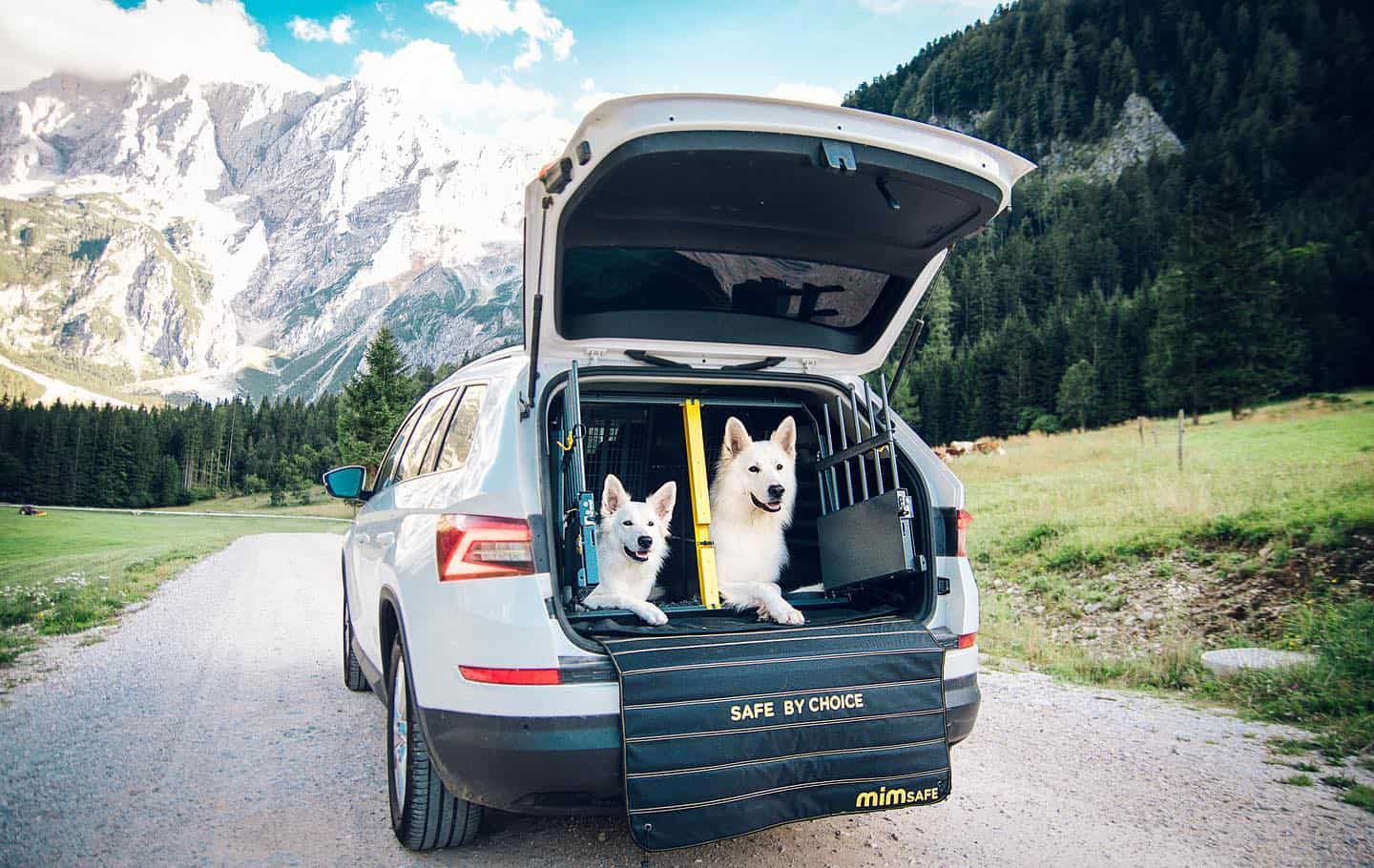 VarioCage Original Double – MIMsafe avtoboksi