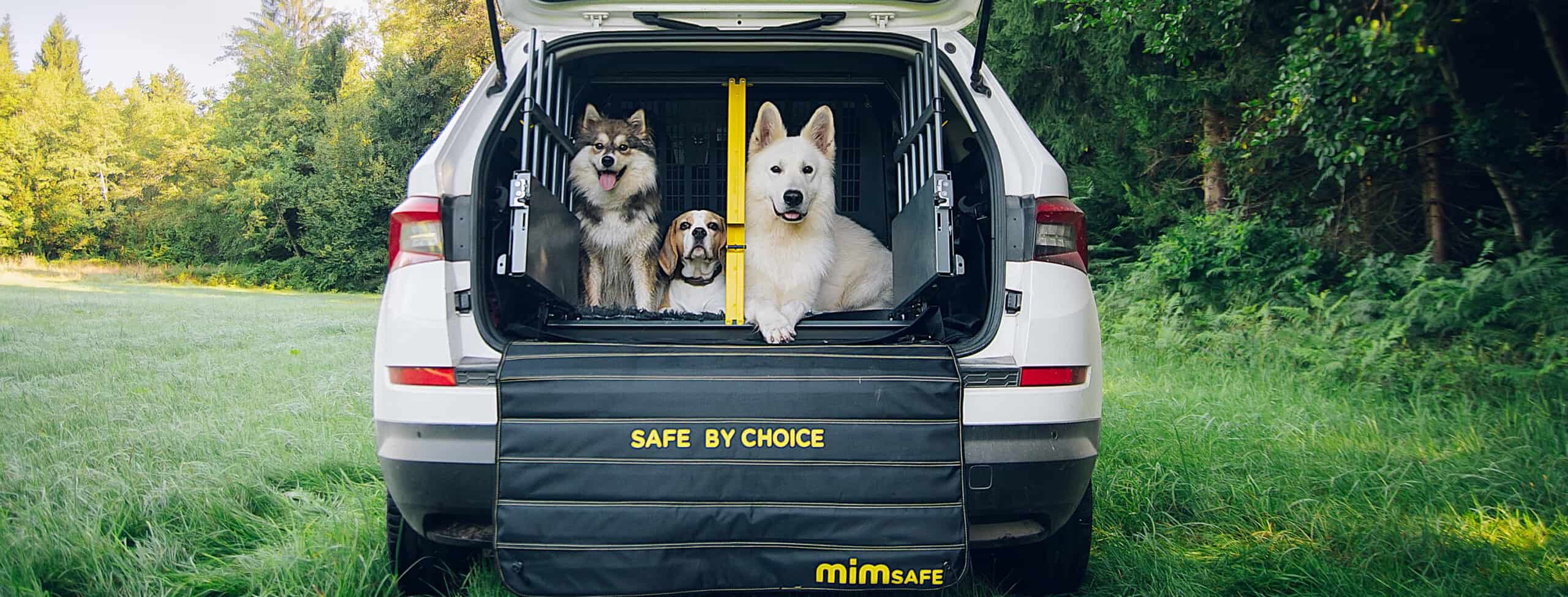 VarioCage Original Double – MIMsafe avtoboksi